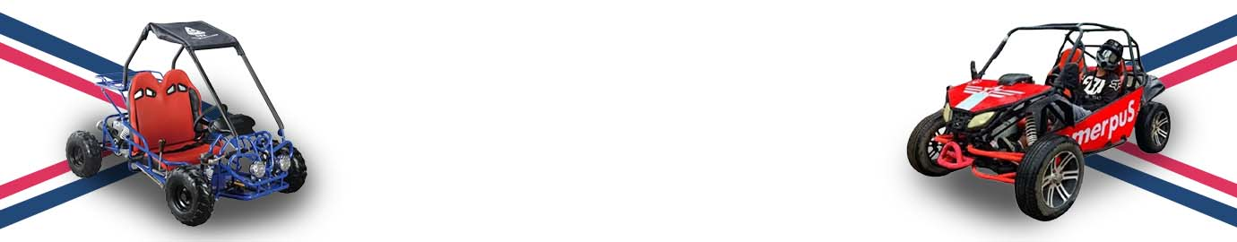 Fuel Buggies & Quad Bikes for Kids – High Power Outdoor Rides | Toyzinn ...